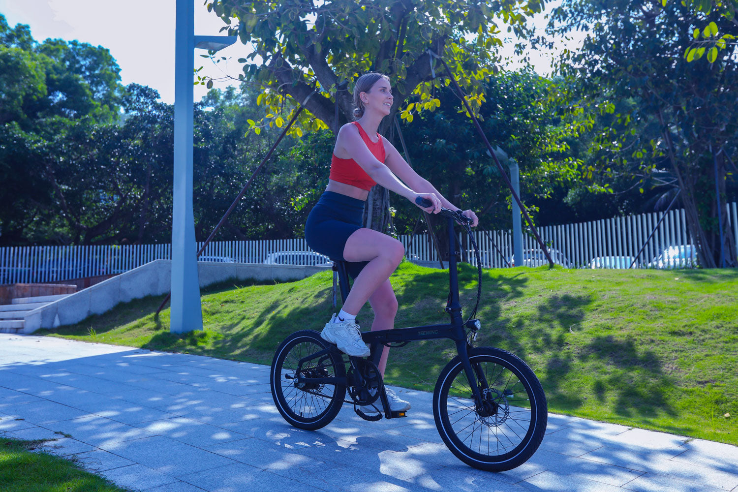 Teewing T20 Carbon Fiber Electric Folding Bike – TEEWING